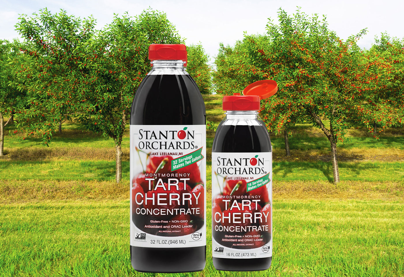 Stanton Orchards Tart Cherry Concentrate for Sleep, Recovery, Pain