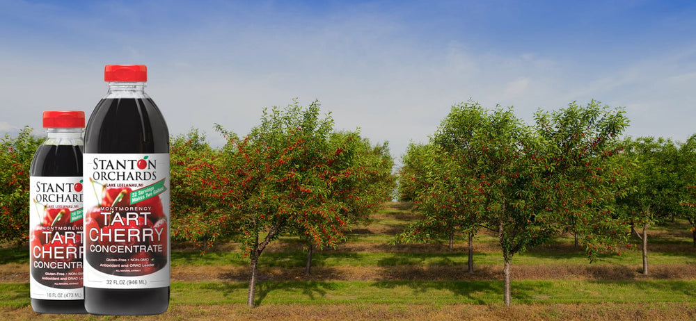 Stanton Orchards Tart Cherry Concentrate for Sleep, Recovery, Pain