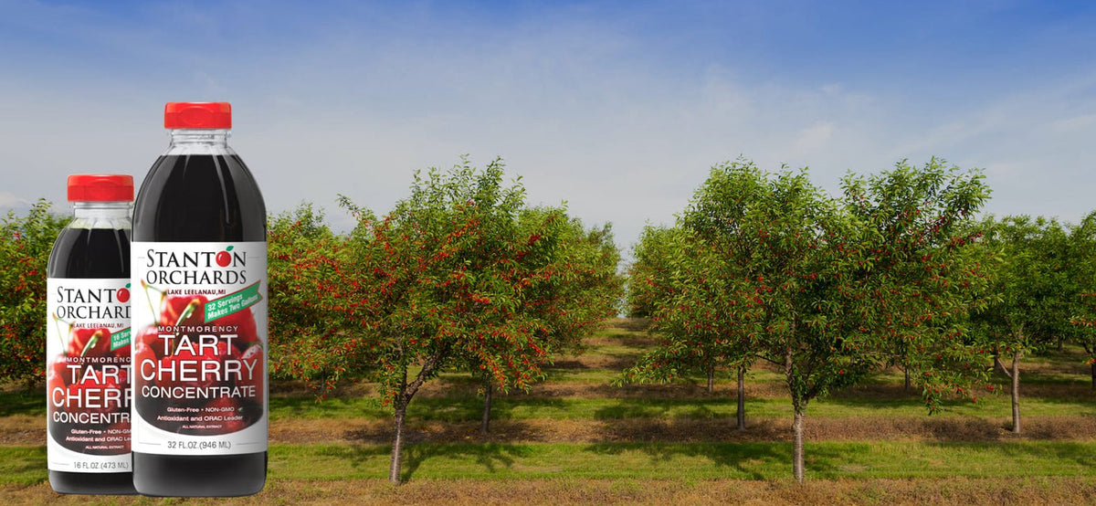 Stanton Orchards Tart Cherry Concentrate for Sleep, Recovery, Pain